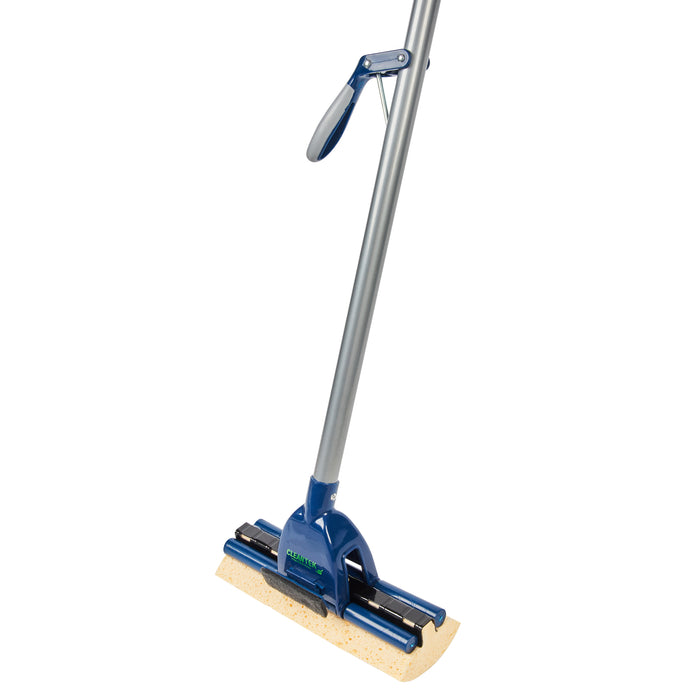 RW Clean Blue Cellulose Sponge Mop - with Handle, Scouring Pad ...